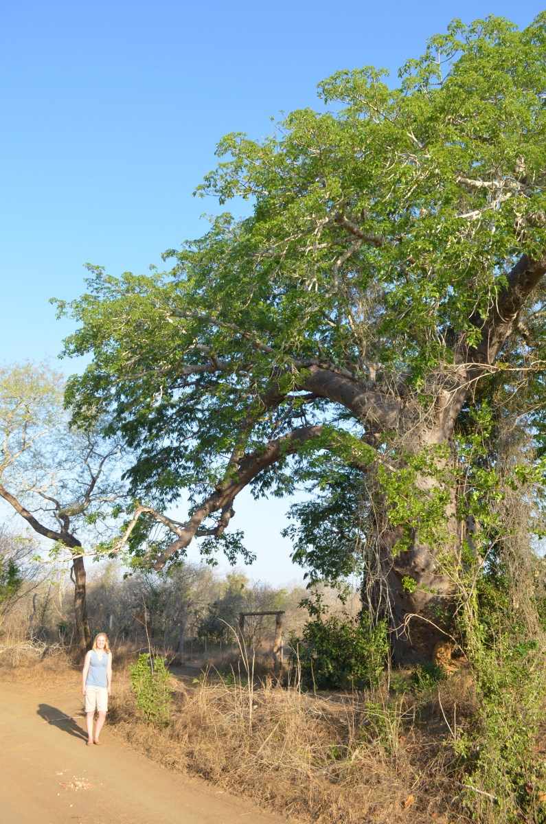 Introduction to our New Home in the Govuro District, Mozambique ...
