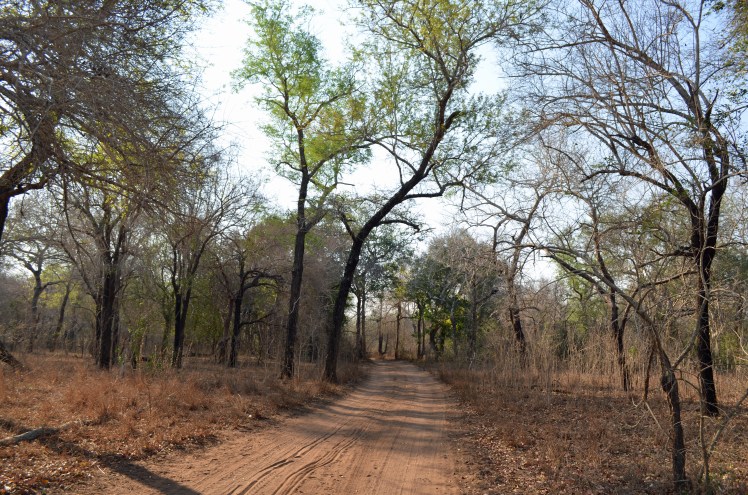 Introduction to our New Home in the Govuro District, Mozambique ...