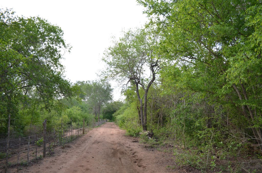 Our first 3 months as South African Expats in Mozambique. What is it ...