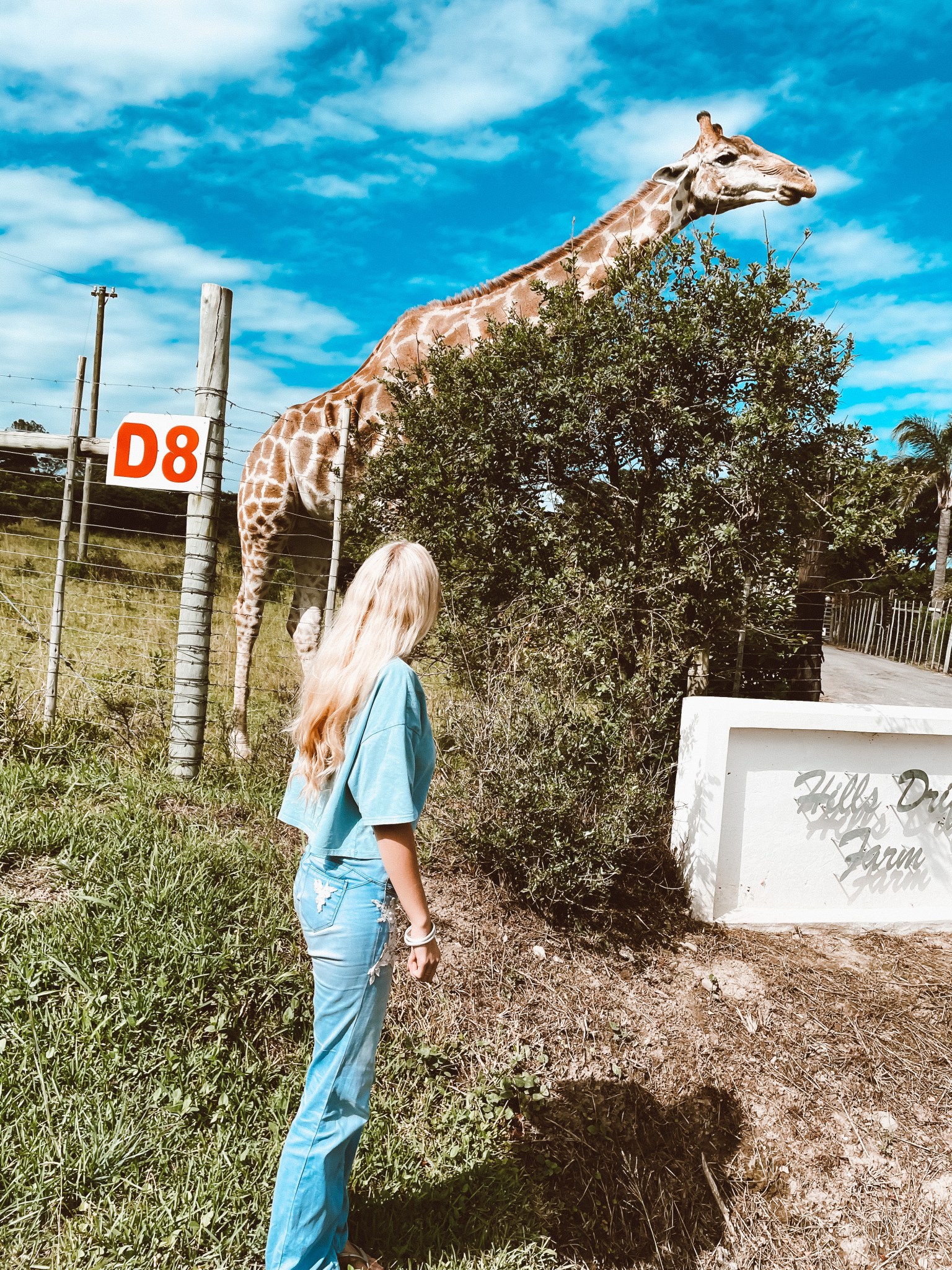 Meet South African Van lifers, Ruth and Josh Betts from “Life of Betts ...