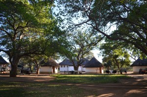 The charm of Balule Rustic Satellite Camp in Kruger National Park ...