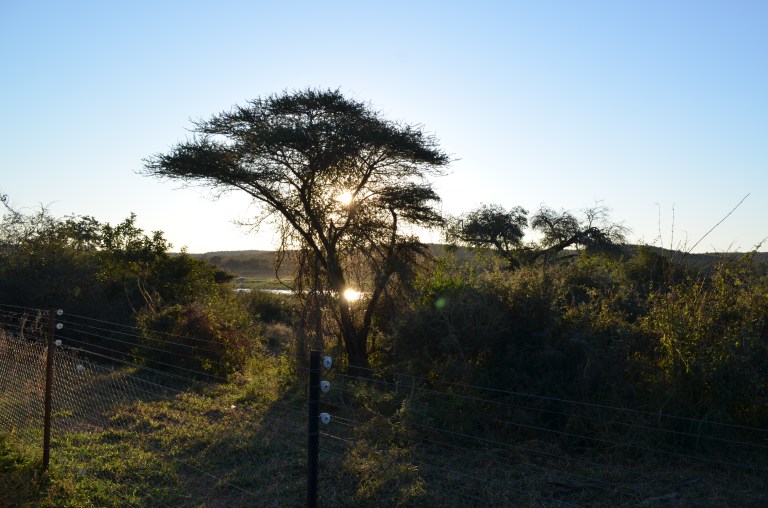 The charm of Balule Rustic Satellite Camp in Kruger National Park ...