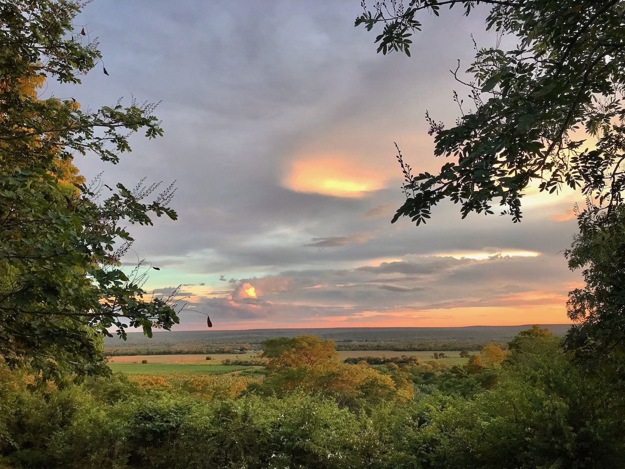 Meet Annabel Hughes Aston from SavannaBel-Bush Gourmet in Zambia ...