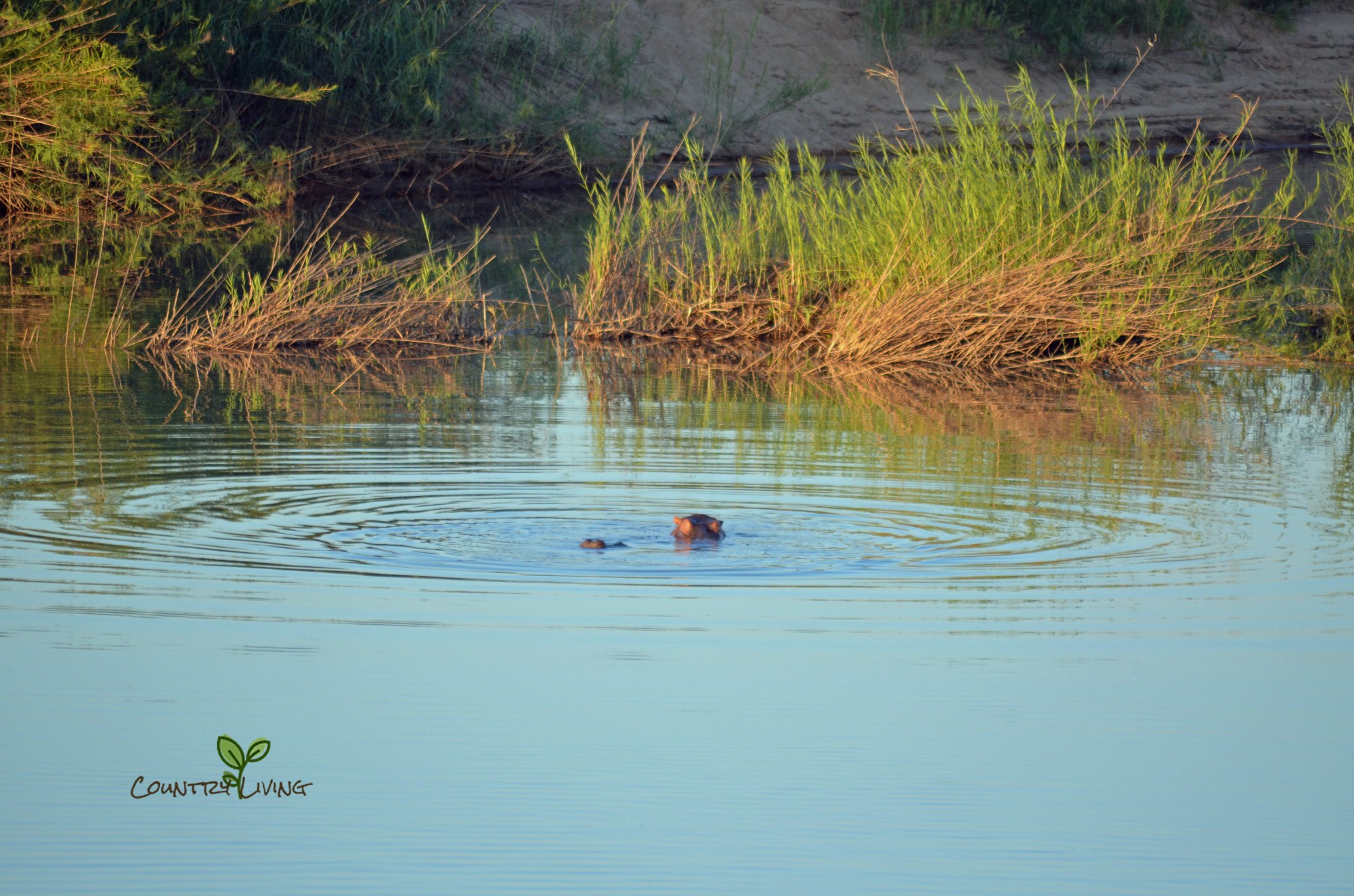 Zinave – A first glance – Country Living in Southern Africa